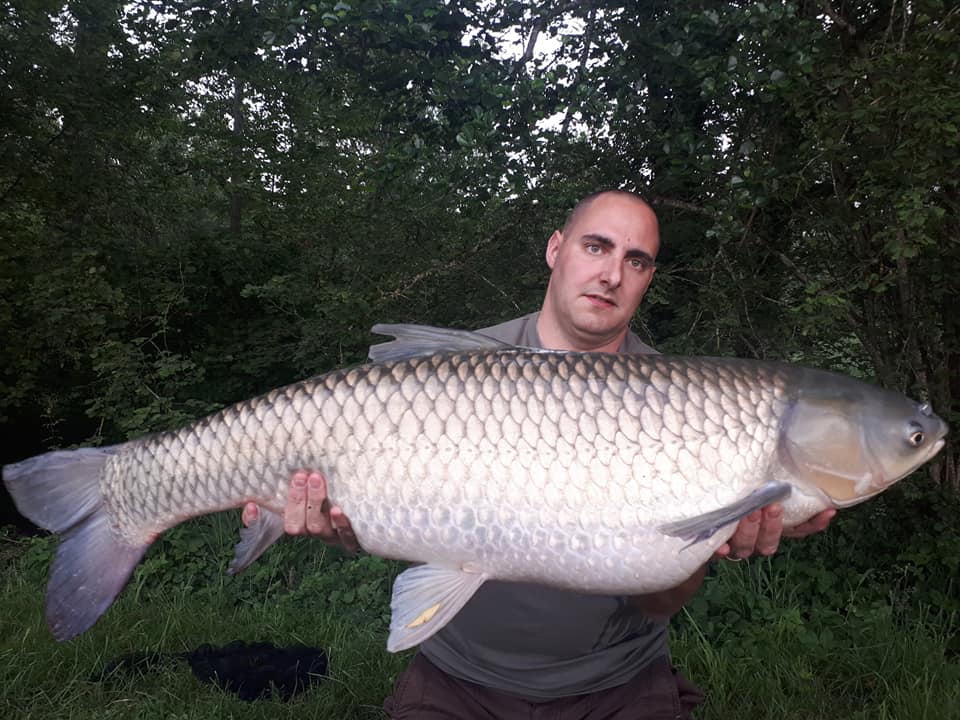 Eden Carpe, Les différents poissons du domaine du Château en Nord Isère